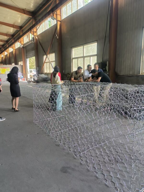 Zen Bamboo Grove - Anping Wanguo Wire Mesh Products Co., Ltd.